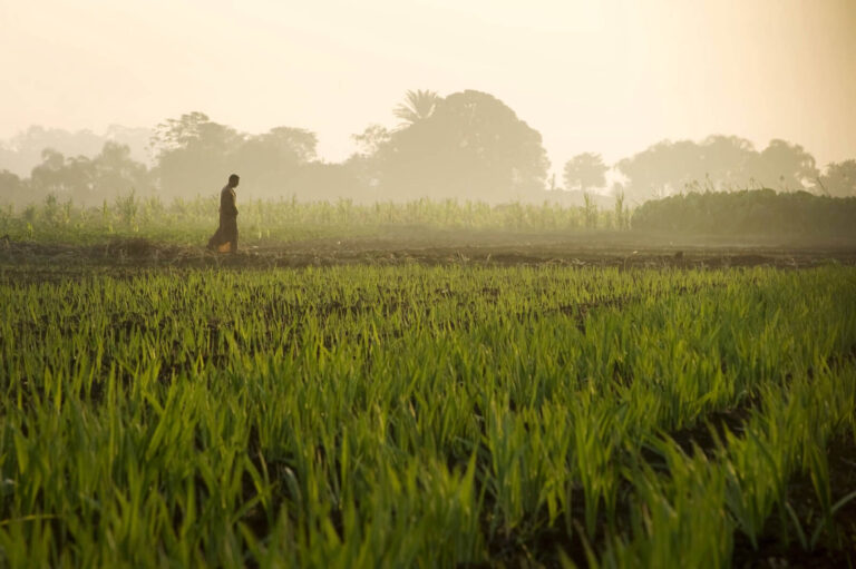 Fertiglobe becomes ADNOC’s vehicle for low-carbon ammonia growth ...